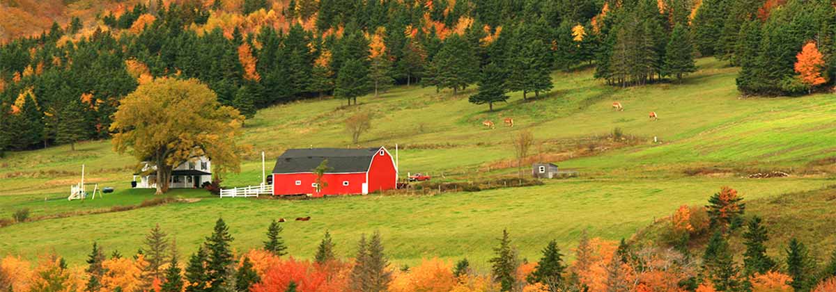 Blog – Rural Property