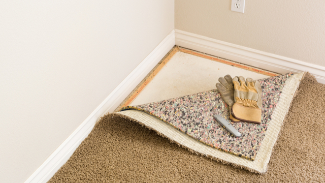 How Much Does New Carpet Cost Canstar