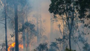 Top Natural Disasters in Australia | Canstar