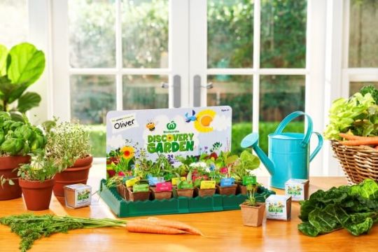 Expert tips: How to grow Woolworths Discovery Garden plants | Canstar