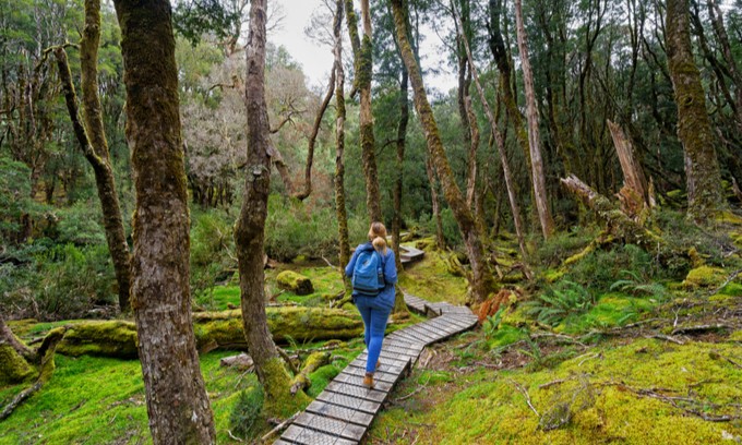 Domestic Travel Insurance | Canstar