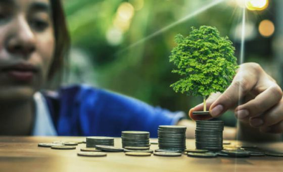 Compare Ethical Super Funds 2023 | Canstar