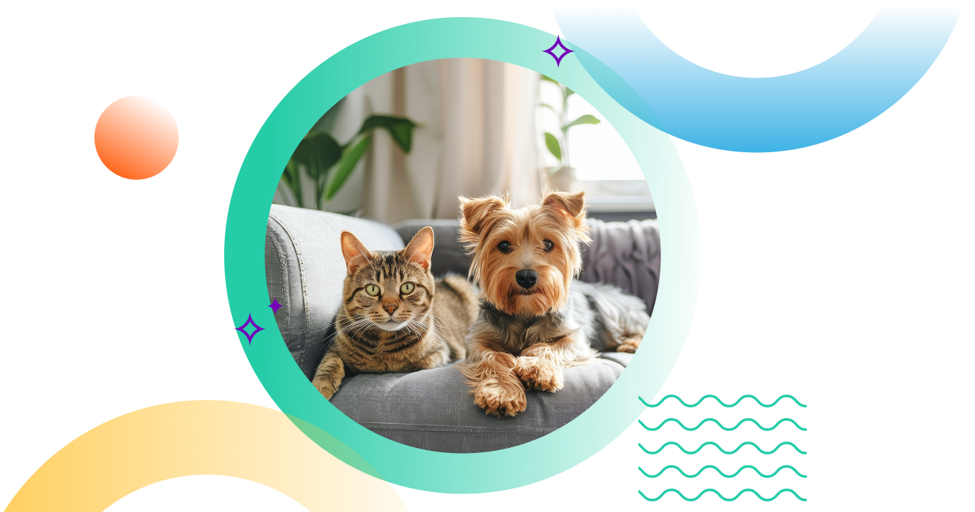 Pet Insurance for Older Dogs and Cats | Canstar