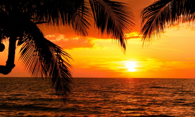 What are sunset clauses in property contracts? | Canstar