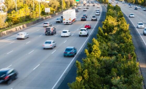 QLD Rego Costs: How much is rego in QLD? | Canstar